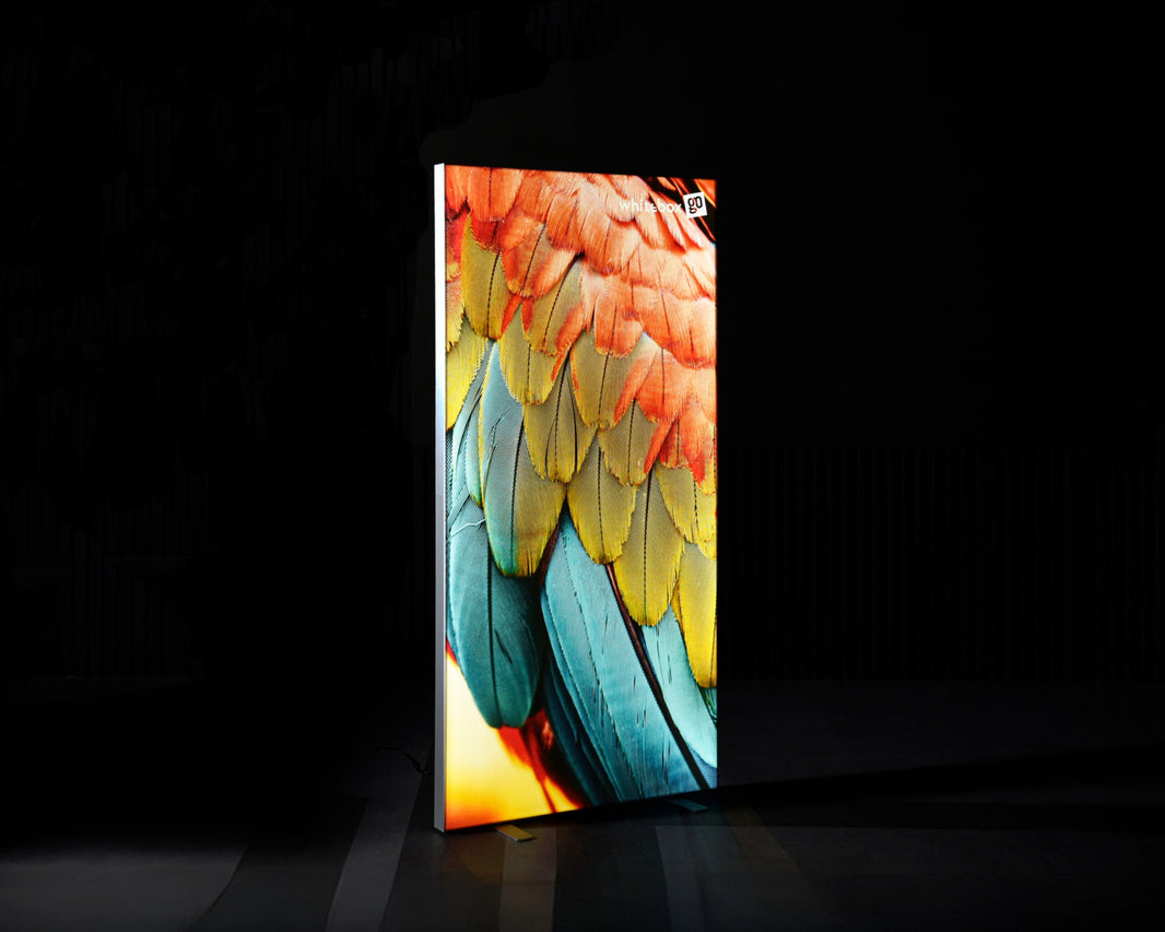 Discover the Power of Lightbox Display Stands – WhiteboxGo
